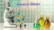 STEM – всичко, което трябва да знаем за него | Prepodavame.bg