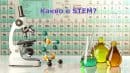STEM – всичко, което трябва да знаем за него | Prepodavame.bg