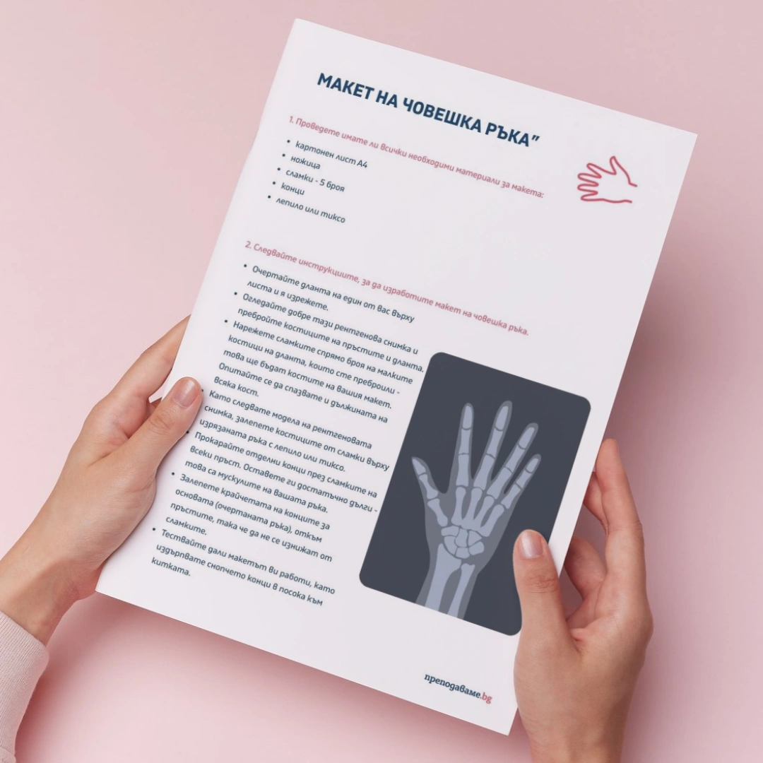 Макет на човешка ръка | Prepodavame.bg