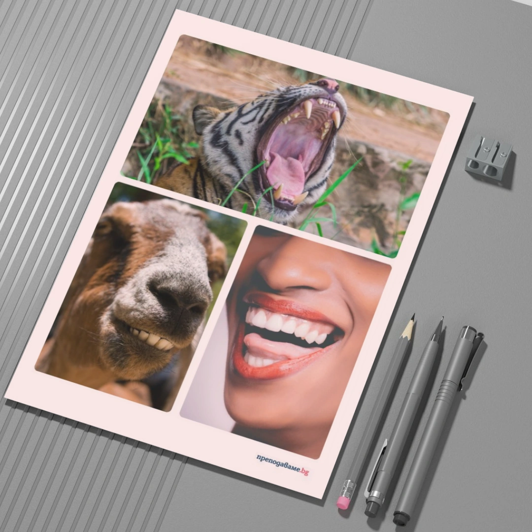 Картинки на зъби | Prepodavame.bg